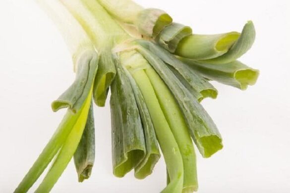 Lettuce Tea - Recipe and Benefits - Tea Almanac