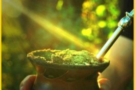 Chive Tea - Benefits and Properties | Tea Almanac