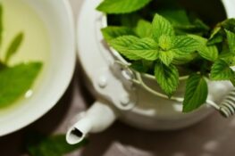 Dong Quai Tea – A Woman's True Friend - Tea Almanac