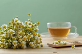 Kawa kawa tea – Benefits and properties | Tea Almanac