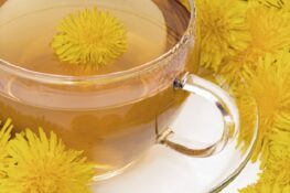 Ash tea - Drink properties and benefits - Tea Almanac