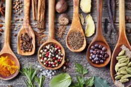 Kawa kawa tea – Benefits and properties - Tea Almanac