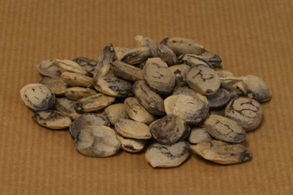 How to make nutmeg tea - Tea Almanac