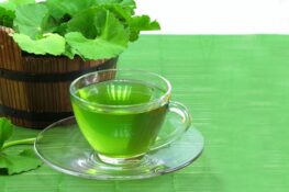 Cypress tea - Benefits and recipe - Tea Almanac