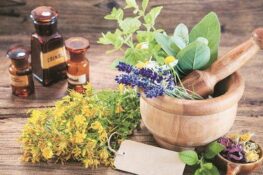 Pata de vaca tea - Benefits and properties - Tea Almanac