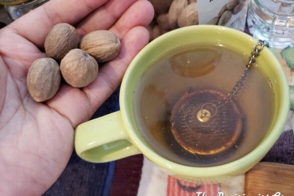 Dill Tea - Benefits and Properties - Tea Almanac