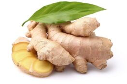 Pata de vaca tea - Benefits and properties - Tea Almanac