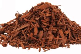 Kawa kawa tea – Benefits and properties - Tea Almanac