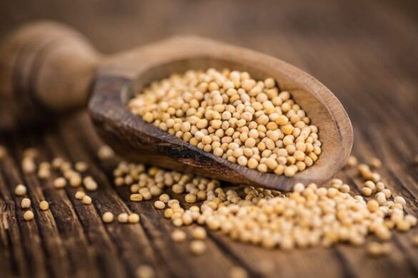 Amaranth tea - Benefits and properties - Tea Almanac